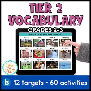 Vocabulary - Boom Cards