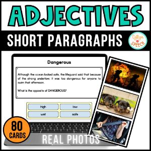 Adjectives - Boom Cards