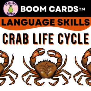 Find Boom Cards games and activities