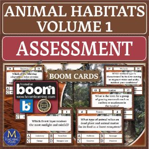 Find Boom Cards games and activities