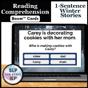 Winter-themed 1-sentence stories with WH Questions - Boom Cards