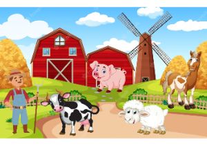 Find Boom Cards games and activities