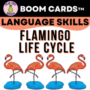 Find Boom Cards games and activities