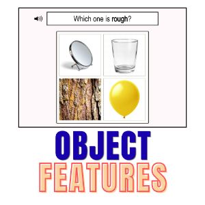 Object Features - Boom Cards