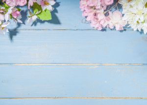 Yu'-kw'akw'usthut - Boom Cards