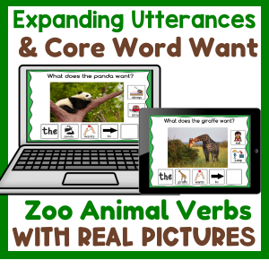 Find Boom Cards games and activities