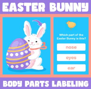 Find Boom Cards games and activities