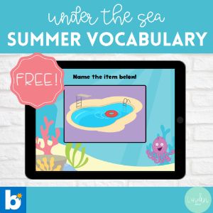 Find Boom Cards games and activities