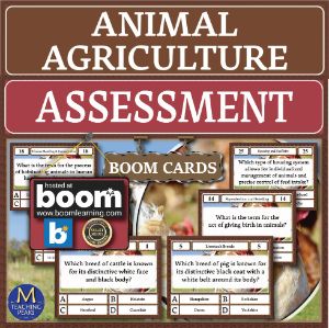 Find Boom Cards games and activities