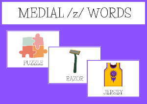 Medial /z/ words - Boom Cards