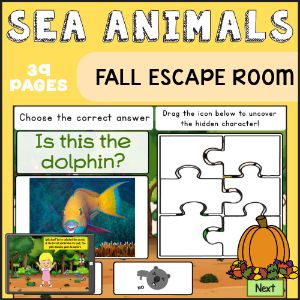 Find Boom Cards games and activities