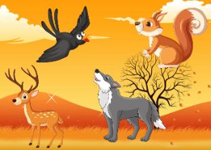 Find Boom Cards games and activities