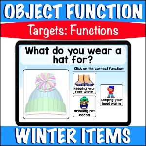 Winter Object Function | Targets Functions - Boom Cards