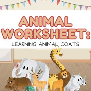 Find Boom Cards games and activities