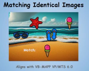 Find Boom Cards games and activities