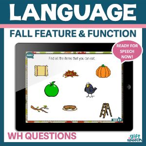 Fall Wh questions for Features, Functions, and Categories for Speech ...