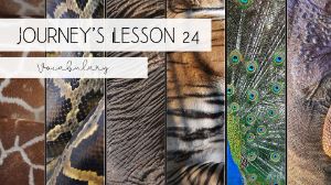 Find Boom Cards games and activities