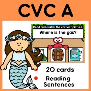 Find Boom Cards games and activities