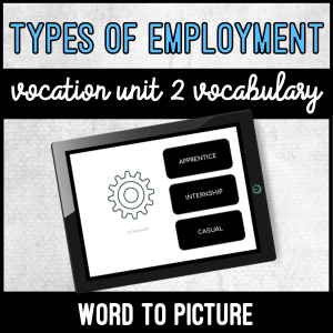 Types of Employment- WtoP - Unit 2 Vocabulary - Boom Cards