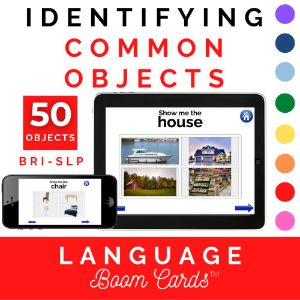 Identifying Common Objects (F:4) - Boom Cards