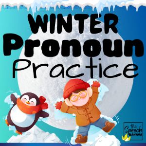 Winter Pronoun Practice - Boom Cards
