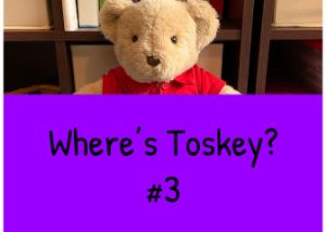 Find Boom Cards games and activities