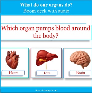 What do our organs do? - Boom Cards