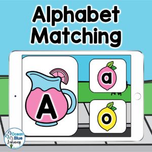 Find Boom Cards games and activities