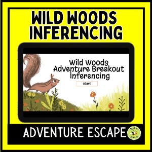 Find Boom Cards games and activities