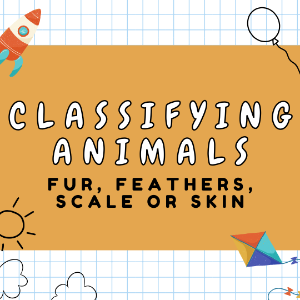 Find Boom Cards games and activities