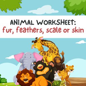 Find Boom Cards games and activities