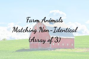 Find Boom Cards games and activities