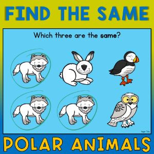 Find The Same - Polar Animals - Boom Cards