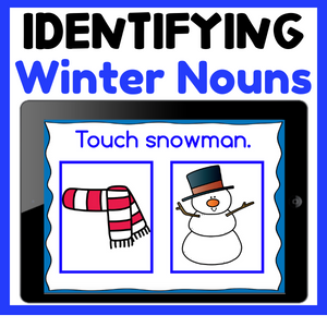 Winter Vocabulary Free - Boom Cards