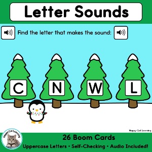 Find Boom Cards games and activities