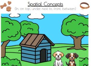 Spatial Concepts/Prepositional Phrases - Boom Cards