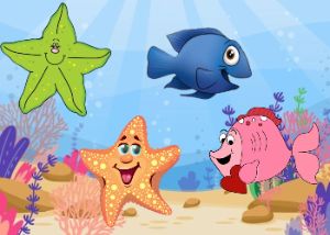 Find Boom Cards games and activities