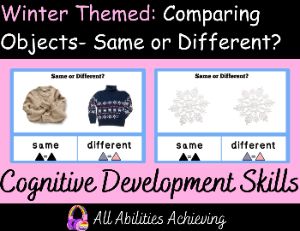Winter Themed - Same or Different (Comparing Objects) - Boom Cards