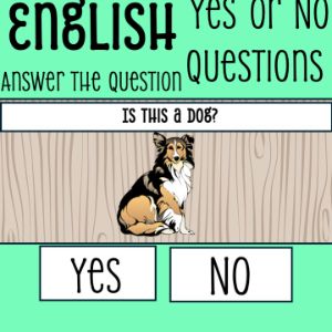 Find Boom Cards games and activities