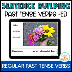 Find Boom Cards games and activities