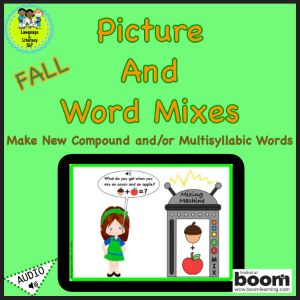 Find Boom Cards games and activities
