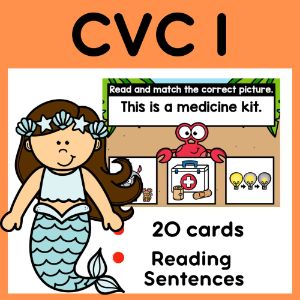 Find Boom Cards games and activities