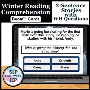 Winter-themed 2-sentence stories with WH Questions - Boom Cards