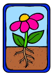 Find Boom Cards games and activities