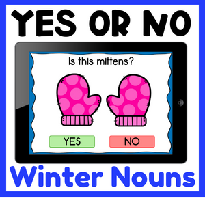 Winter Vocabulary | Yes or No Questions - Boom Cards