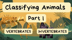 Find Boom Cards games and activities