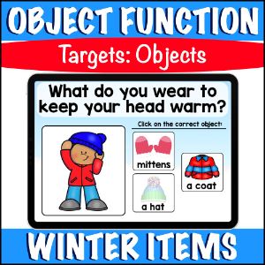 Winter Object Function | Targets Objects - Boom Cards