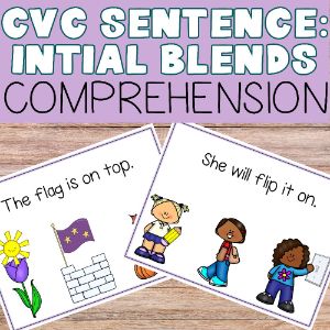 CVC Sentence Reading Comprehension - Initial Blends Edition - Boom Cards