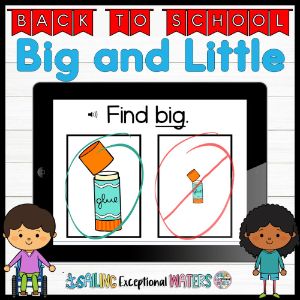 Back to School Big and Little - Boom Cards