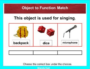 Identify Which Object For Given Function - Boom Cards